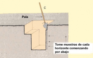 Guía práctica para hacer una Calicata y la toma de muestras de suelo ...